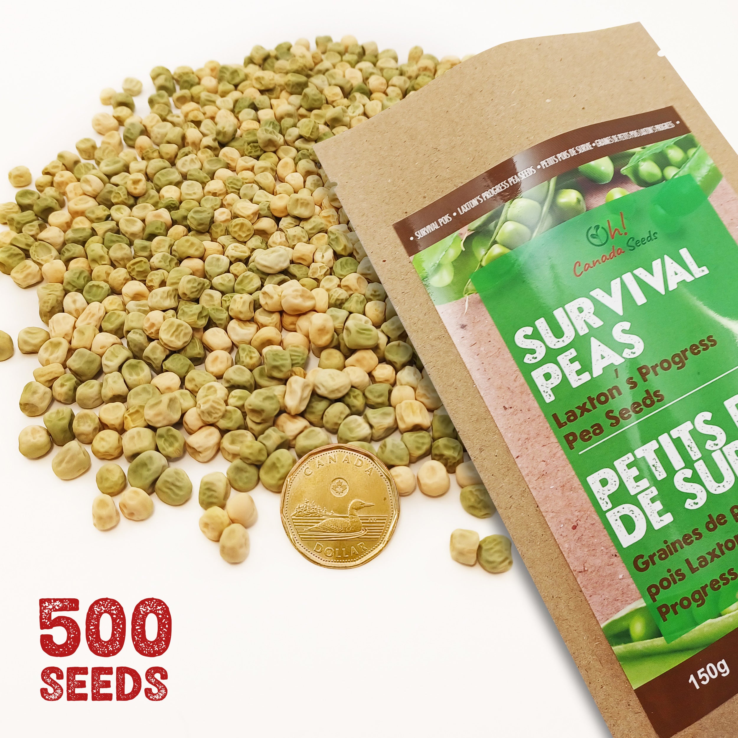 Survival Peas - Laxton’s Progress Bush Pea – 160g, 500seeds