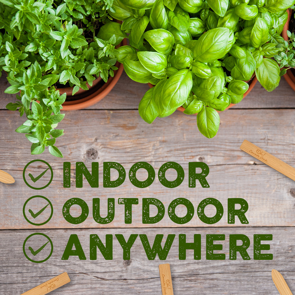 My UnbeLEAFable Herb garden - 5 Container Herbs Variety Pack and Ident